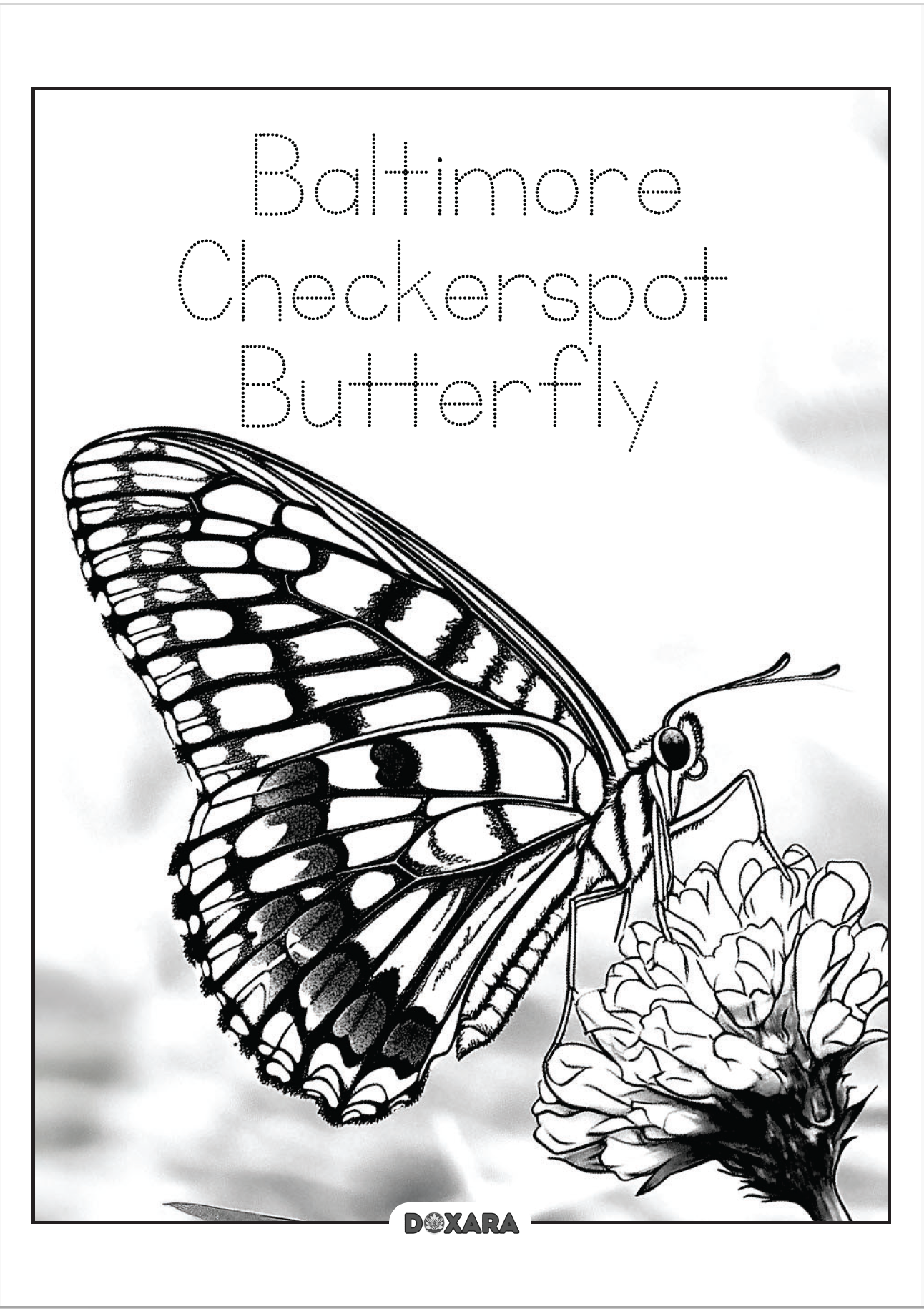🐝 Baltimore Checkerspot Butterfly Coloring Sheet (10-pack) – DOXARA